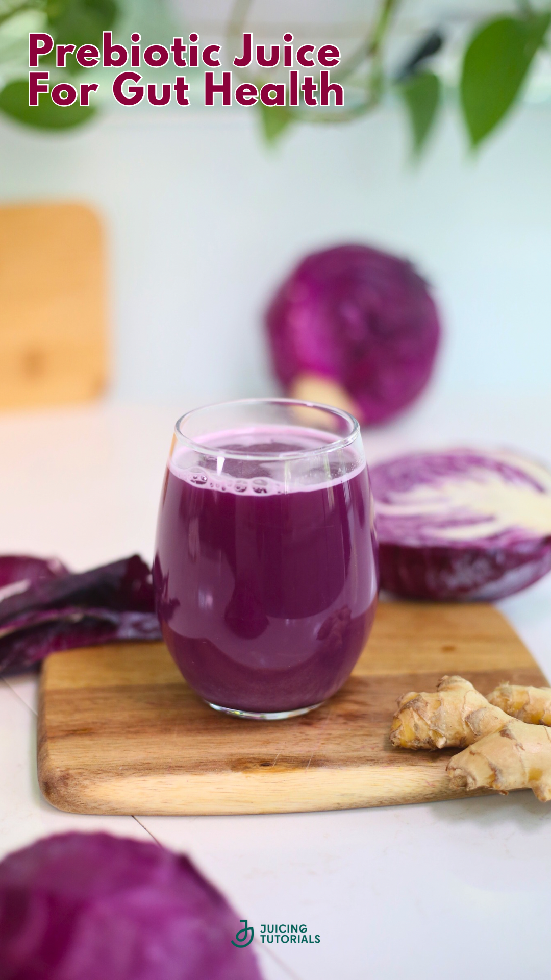 Prebiotic Juice for Gut Health – Juicing Tutorials
